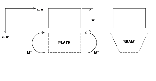 Shape orthotropy of plates